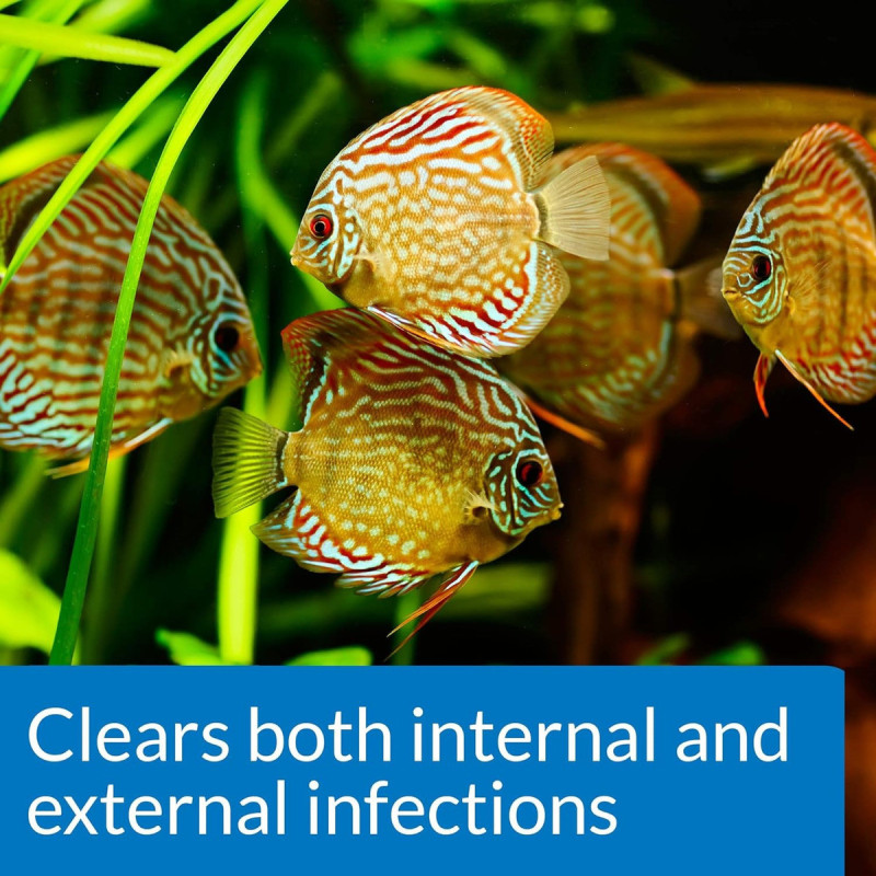 Fin And Body Cure Medicamento Enfermedades Bacterias Peces